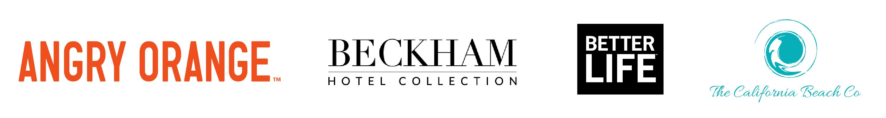 Thrasio Creator Program